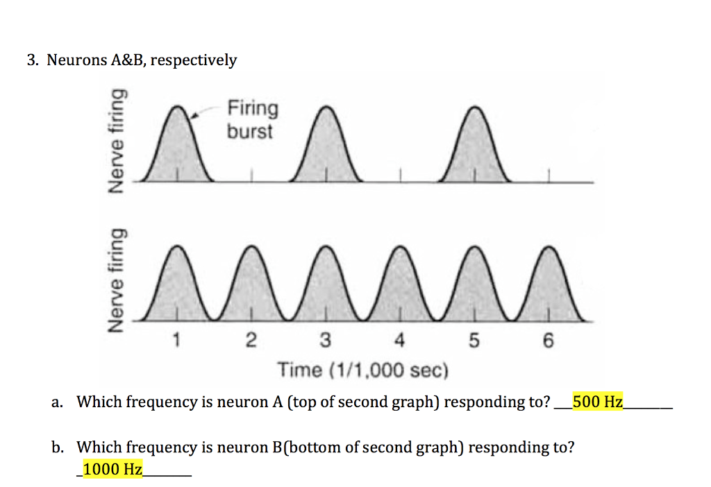 Solved 3. Neurons A&B, respectively Firing burst 2 1 2 5 6 | Chegg.com