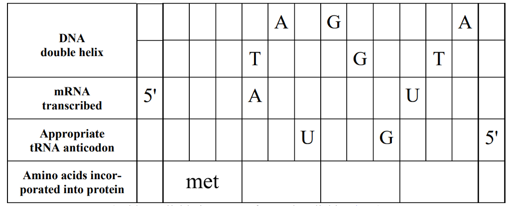 Gallery of essential amino acids chart abbreviations and structure ...