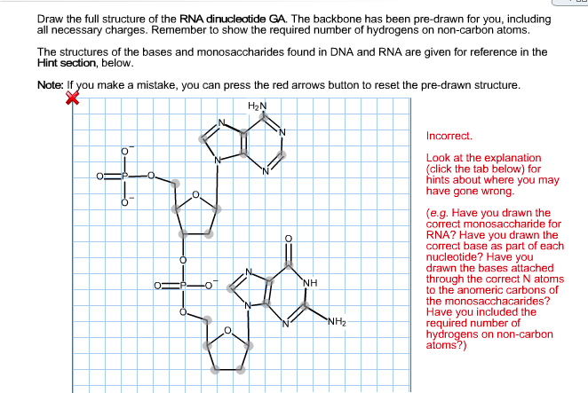 Solved Draw the full structure of the RNA dinucleotide GA. | Chegg.com