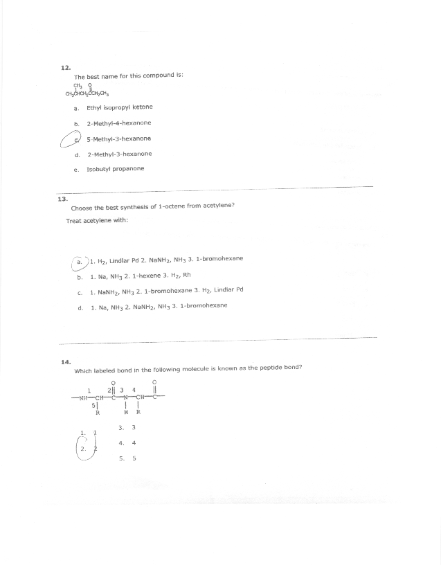 Solved Just checking if these answers are correct? | Chegg.com