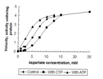 Solved 2. The kinetics of the ATCase reaction were examined | Chegg.com
