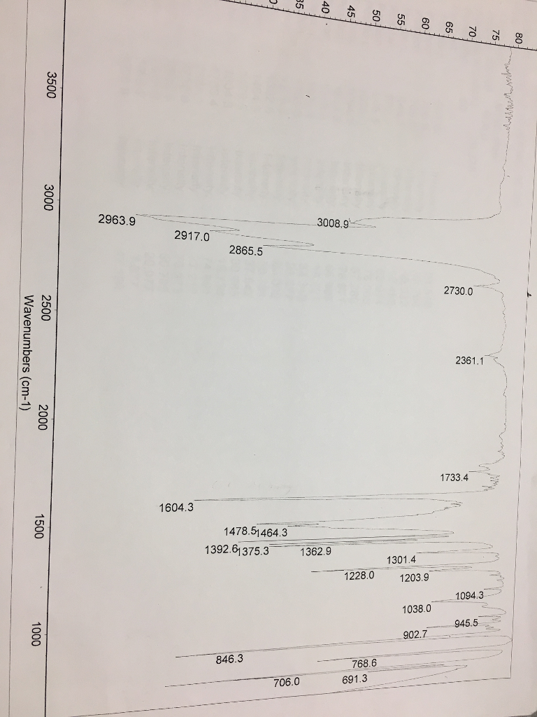 Solved This is the product IR spectrum from the | Chegg.com