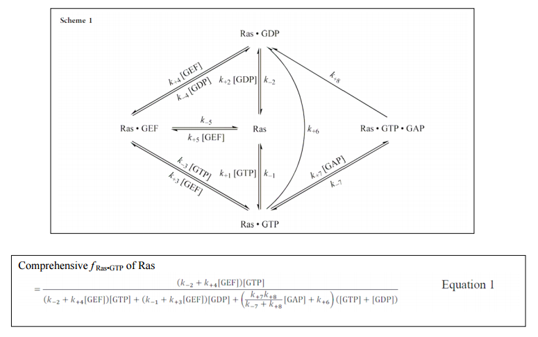 Solved On the basis of the Scheme 1, derive Equation 1 | Chegg.com