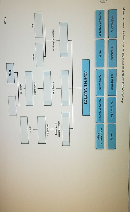 Solved Move the terms into the correct empty boxes to | Chegg.com