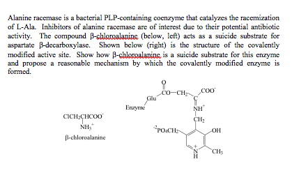 Solved Alanine racemase is a bacterial PLP-containing | Chegg.com