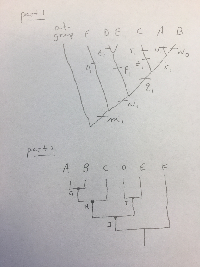 Part 1 -- Calculate Consistency index (CI), Retention | Chegg.com