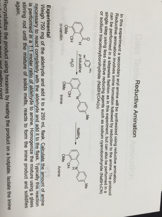 Solved Reductive Amination Reaction: For this | Chegg.com