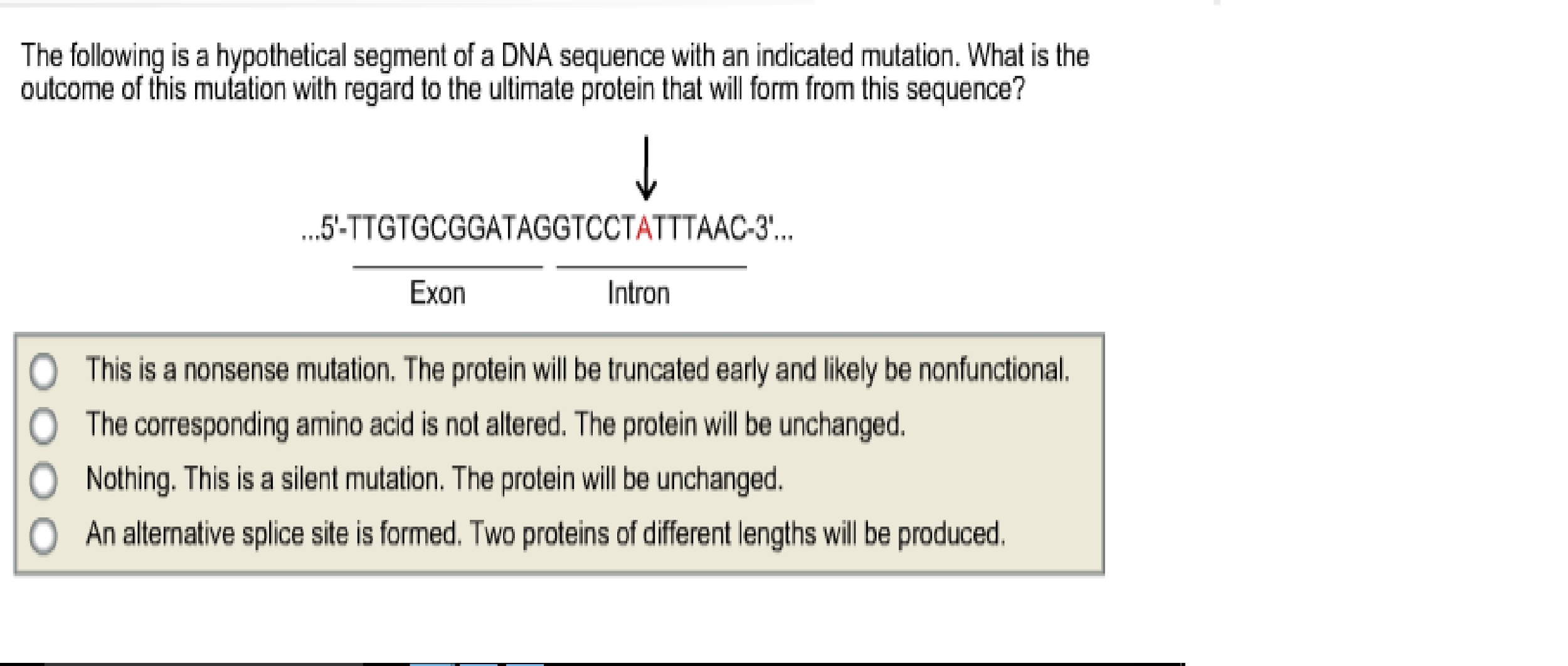 Solved The following is hypothetical segment of a DNA | Chegg.com