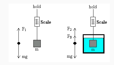 Solved Remember, the FBD of the block in the water and Fnet | Chegg.com