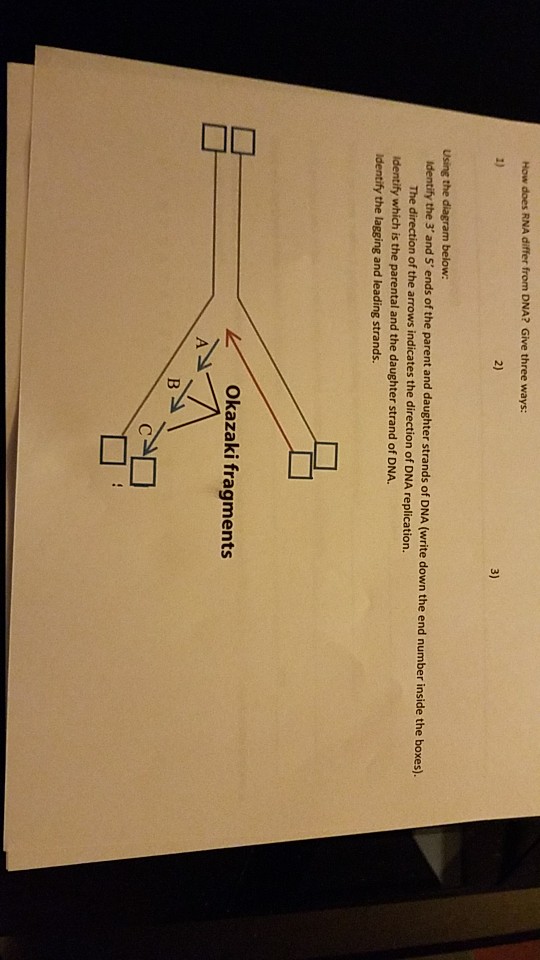 Solved How does RNA differ from DNA? Give three ways: 2) 2) | Chegg.com