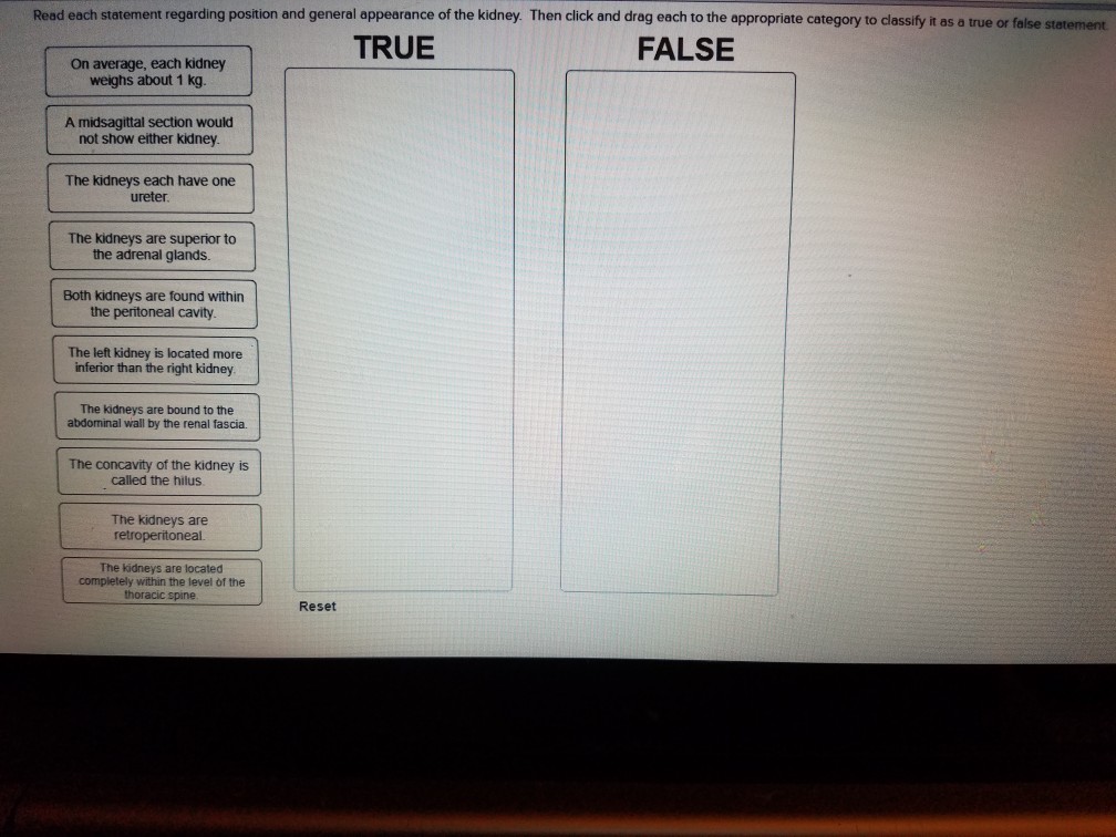 Solved Read each statement regarding position and general | Chegg.com Solved Read each statement regarding position and general | Chegg.com