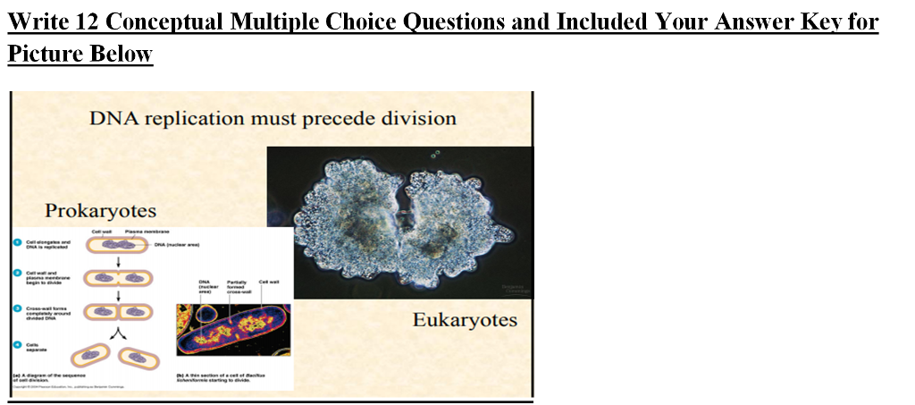 Solved Note: Write 12 Conceptual Multiple Choice Questions | Chegg.com