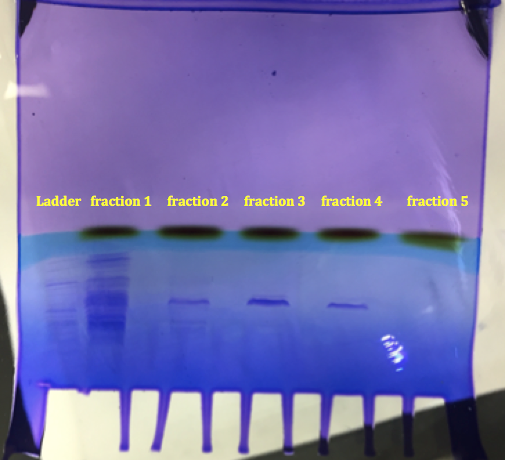 Solved Ladder fraction 1 fraction 2 fraction 3 fraction 4 | Chegg.com