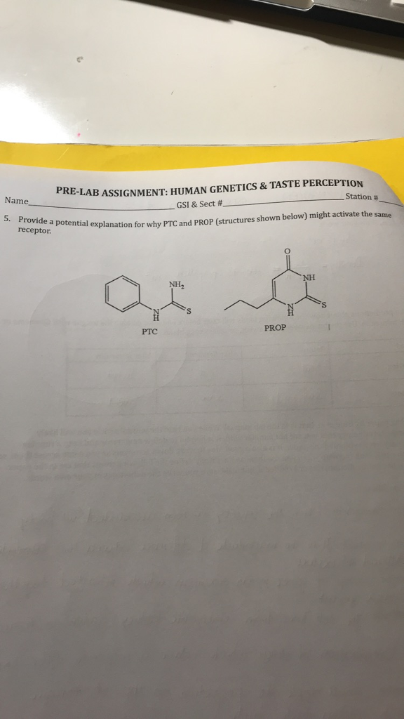 Solved PRE-LAB ASSIGNMENT: HUMAN GENETICS & TASTE PERCEPTION | Chegg.com