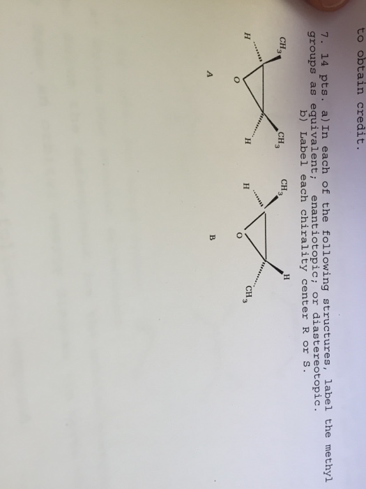 Solved In each of the following structures, label the methyl | Chegg.com