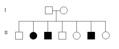 Solved The pedigree shown below depicts the inheritance | Chegg.com