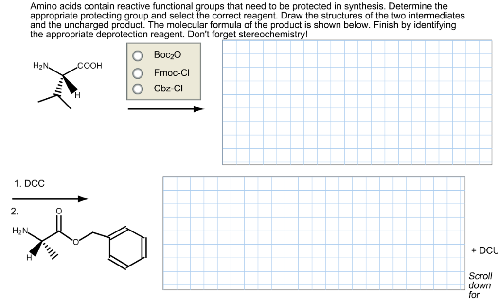 Solved Amino acids contain reactive functional groups that | Chegg.com