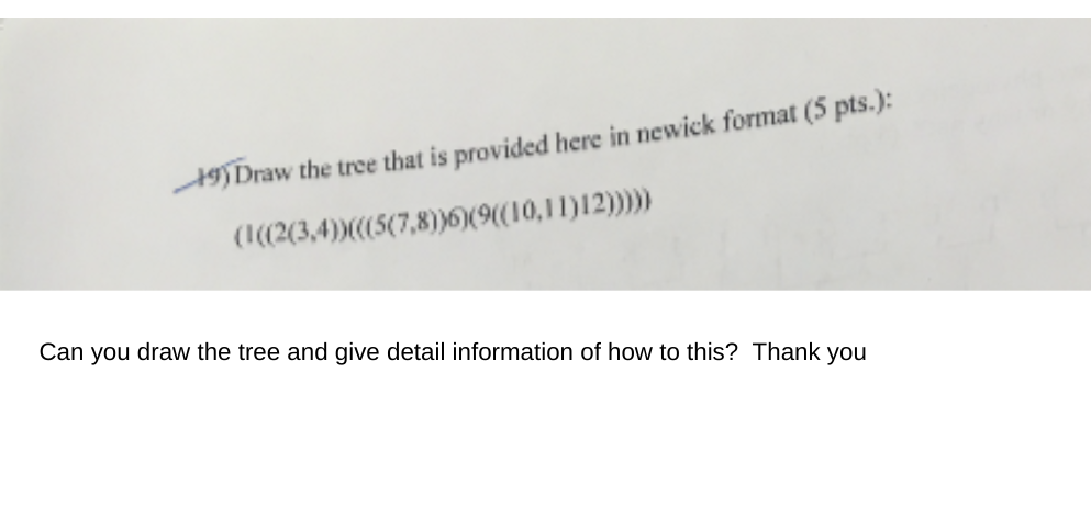 Solved ) Draw the tree that is provided here in newick | Chegg.com