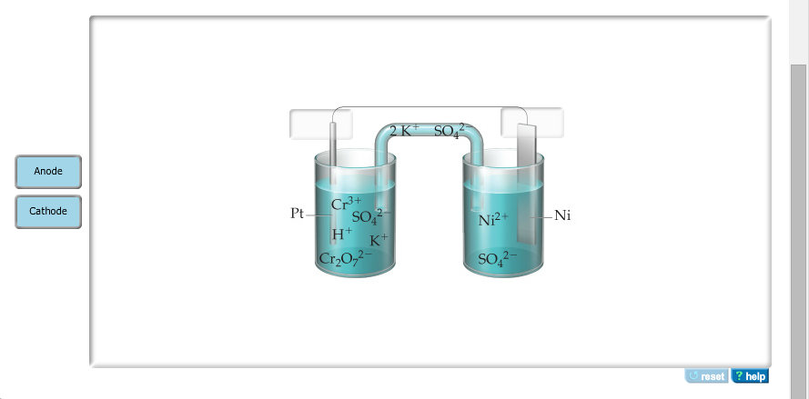 Solved Consider the following galvanic cell. Identify the | Chegg.com