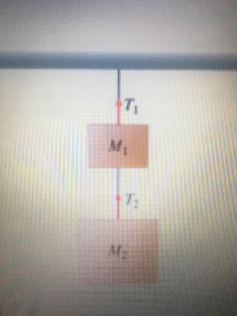 Solved Two blocks of masses M1 and M2 hang one under the | Chegg.com