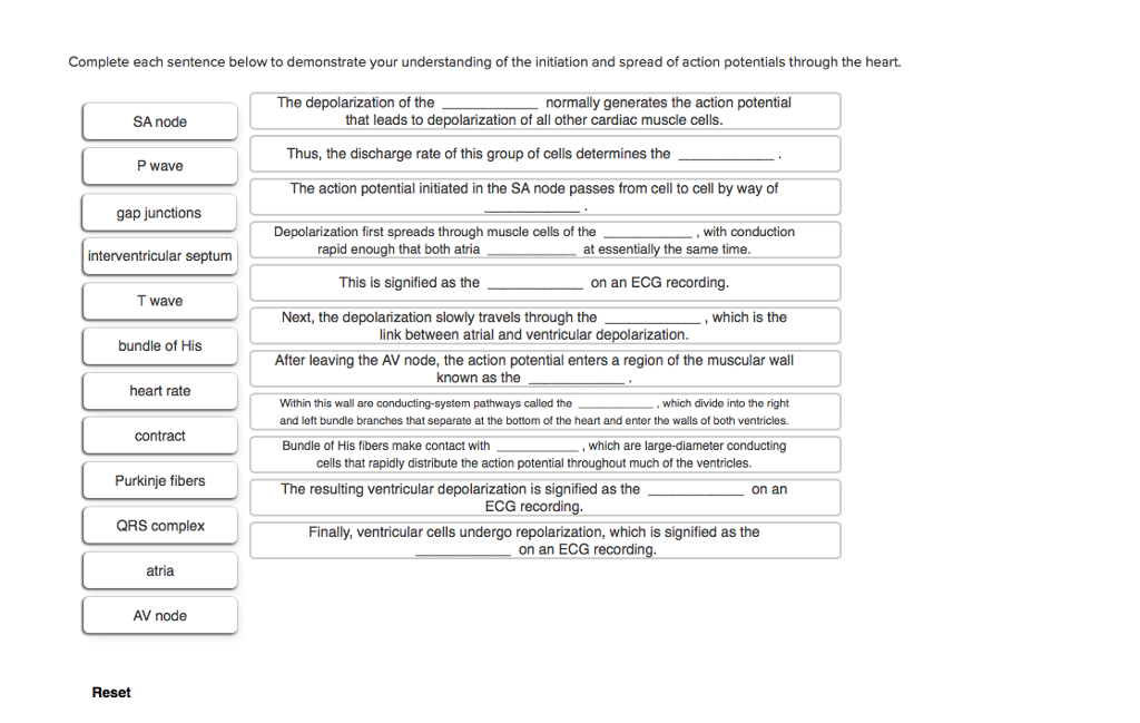 Solved Complete each sentence below to demonstrate your | Chegg.com