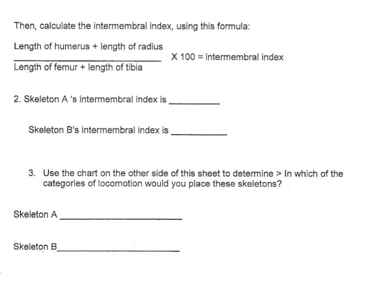 Solved We've been discussing the primates and their | Chegg.com