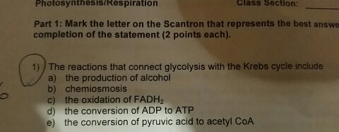 Solved best answer and explain why | Chegg.com