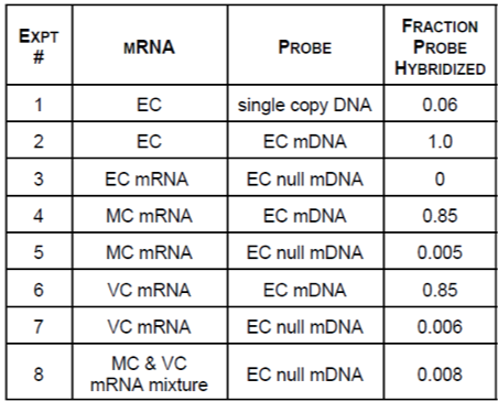 Solved FRACTION PROBE HYBRIDIZED EXPT MRNA PROBE single copy | Chegg.com