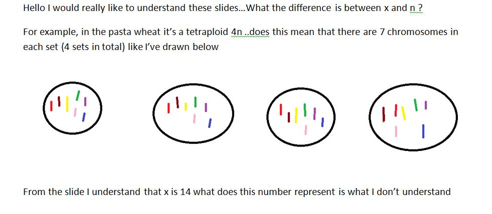 Solved n is the basic number of chromosomes In humans 2n- 46 | Chegg.com