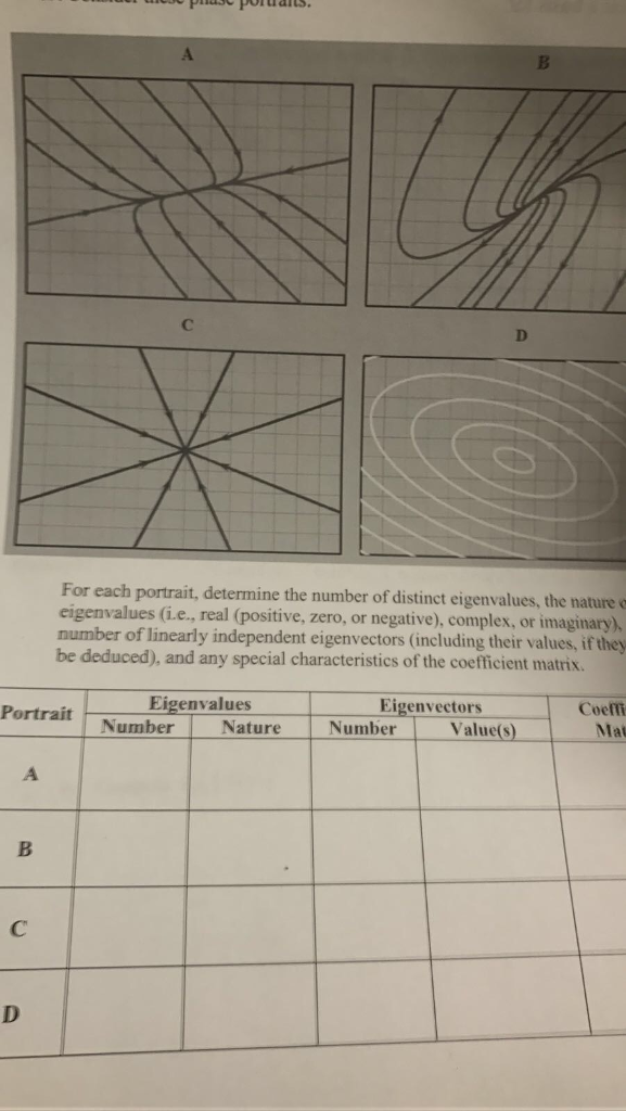 Solved For each portrait, determine the number of distinct | Chegg.com