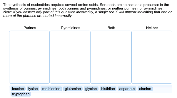 Sort These Nucleotide Building Blocks By Their Name Or Classification.