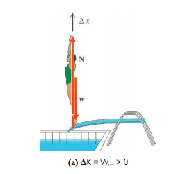 Solved What is the average force exerted on the diver in the | Chegg.com