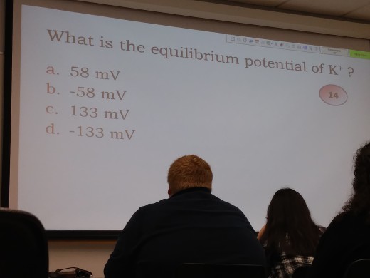 Solved What Is The Equilibrium Poten A 58 Mv B 58 Mv C