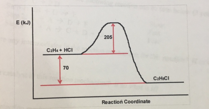 Solved A reaction profile (not to scale) is provided | Chegg.com