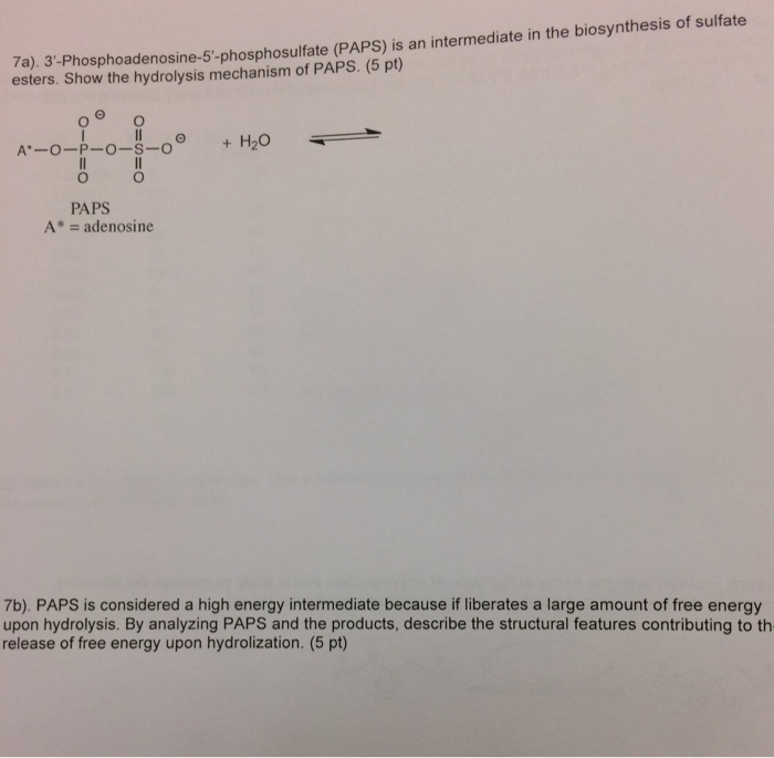 Solved 3'-Phosphoadenosine-5'-phosphosulfate (PAPS) is an | Chegg.com