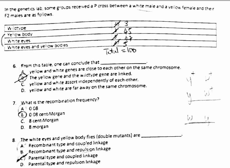 Solved P cross is white male and yellow female, F2 numbers | Chegg.com