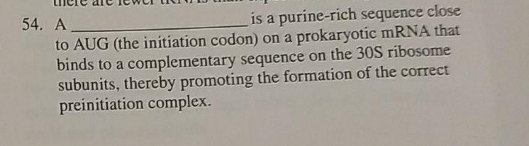 Solved 54. A is a purine-rich sequence close to AUG (the | Chegg.com