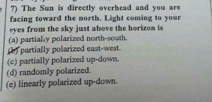 Solved 7) The Sun is directly overhead and you are facing | Chegg.com