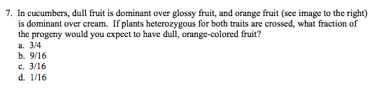 Solved In cucumbers, dull fruit is dominant over glossy | Chegg.com