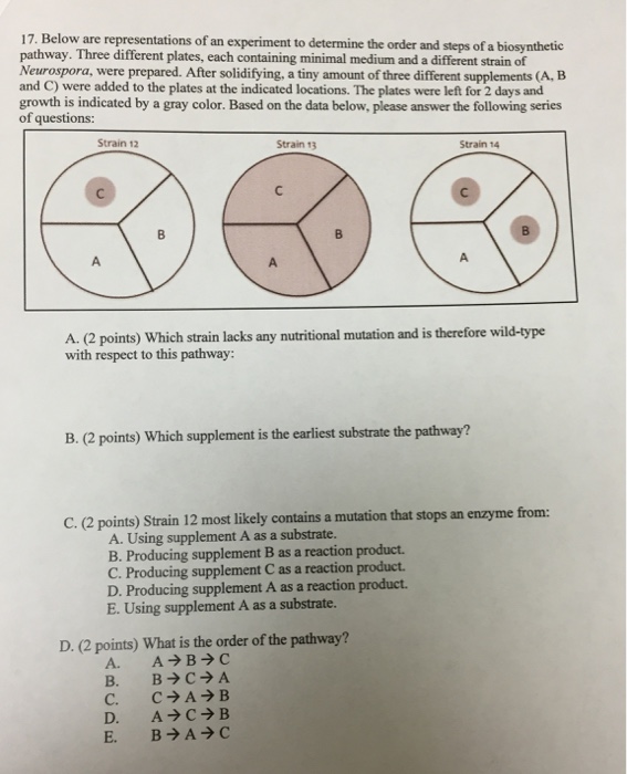 Solved Below are representations of an experiment to | Chegg.com