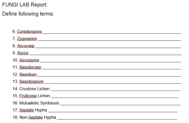 Solved FUNGI LAB Report: Define following terms: | Chegg.com Solved FUNGI LAB Report: Define following terms: | Chegg.com