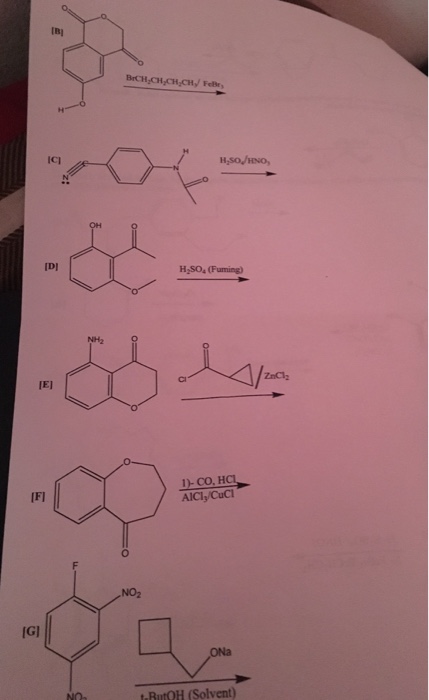 Solved Predict the structure(s) of the major | Chegg.com