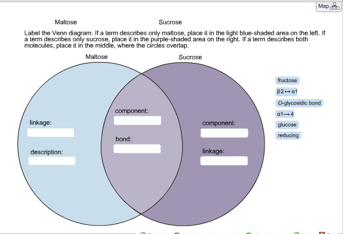 Solved Maltose Sucrose Label the Venn diagram. If a term | Chegg.com