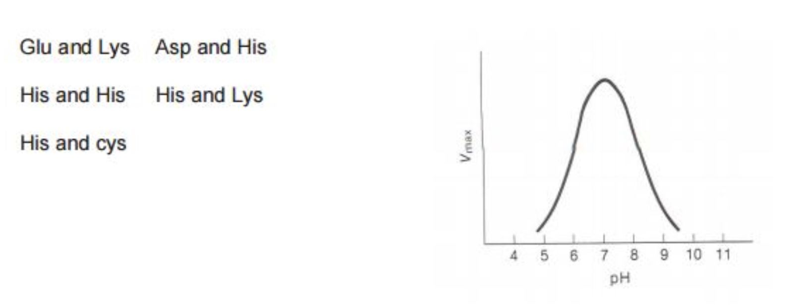 Enzyme Ph Graph