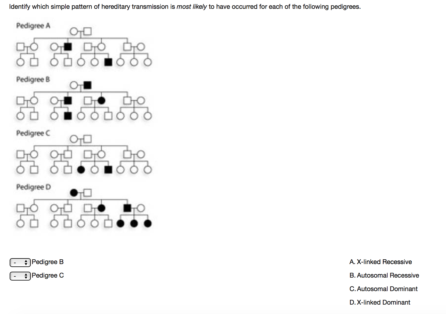Solved Identify which simple pattern of hereditary | Chegg.com Solved Identify which simple pattern of hereditary | Chegg.com