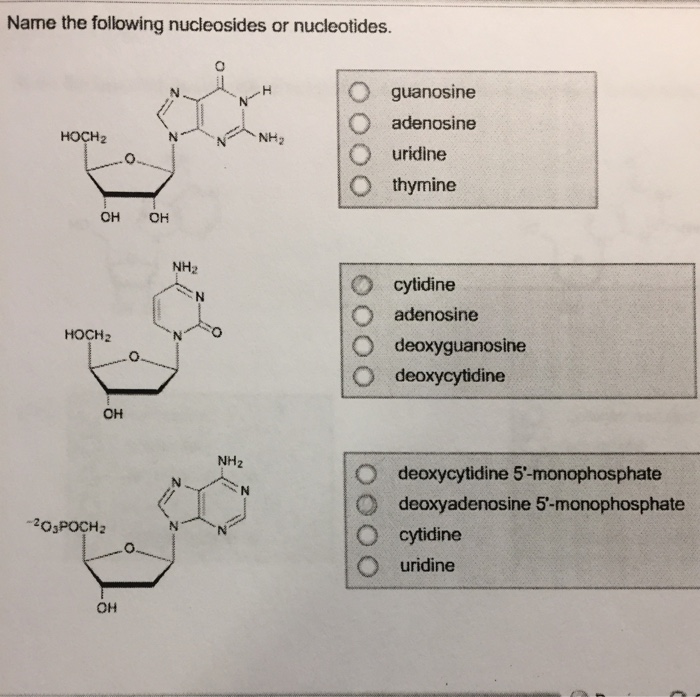 Solved Name the following nucleosides or nucleotides. | Chegg.com
