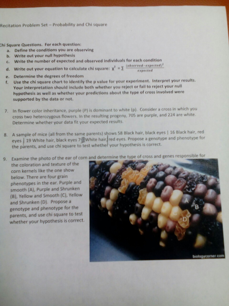 Solved Recitation Problem Set -Probability and Chi square | Chegg.com