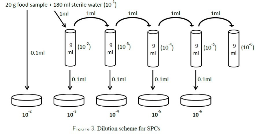 Food Microbiology Essay Questions : Final Exam Essay Questions.docx ...