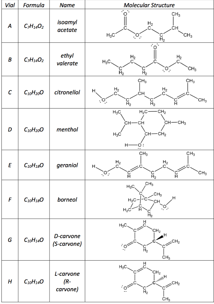 Solved Describe the structural differences in the following | Chegg.com