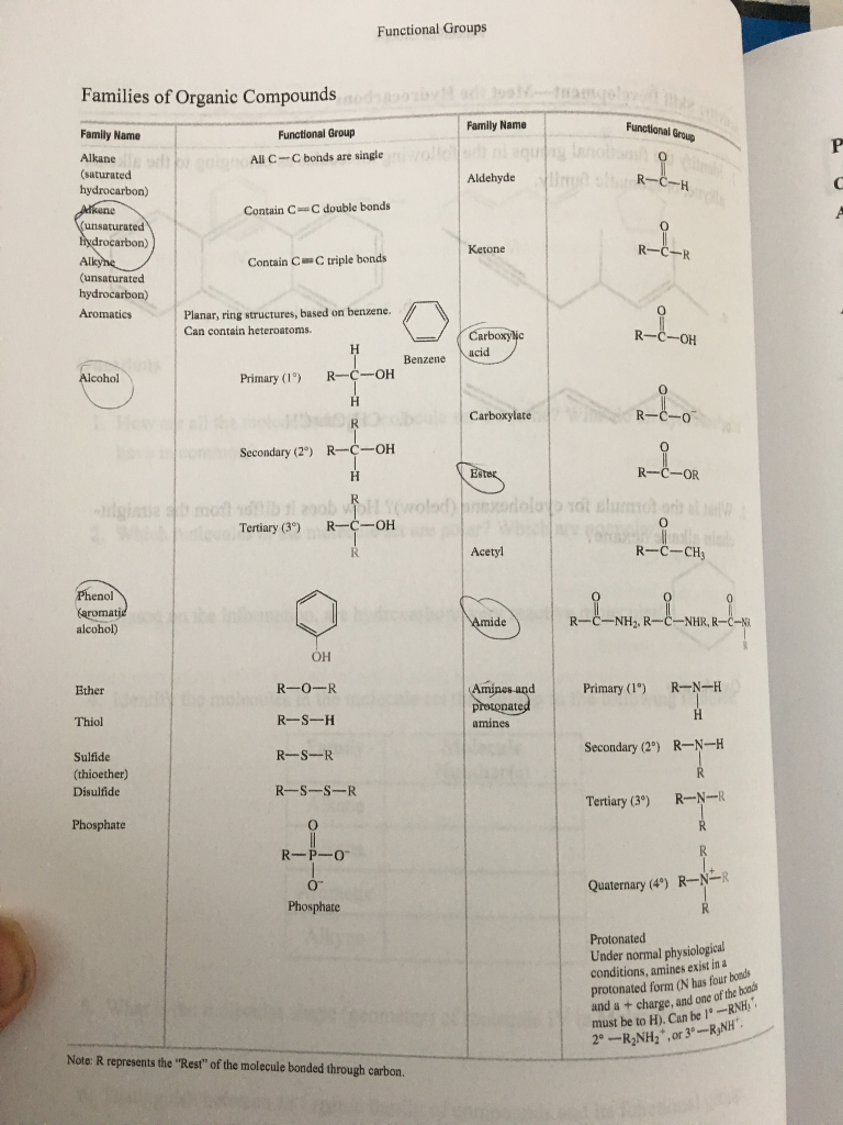 Solved Functional Groups Families of Organic Compounds | Chegg.com